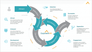 Overview of the Employee Lifecycle – ExponentHR Elevate